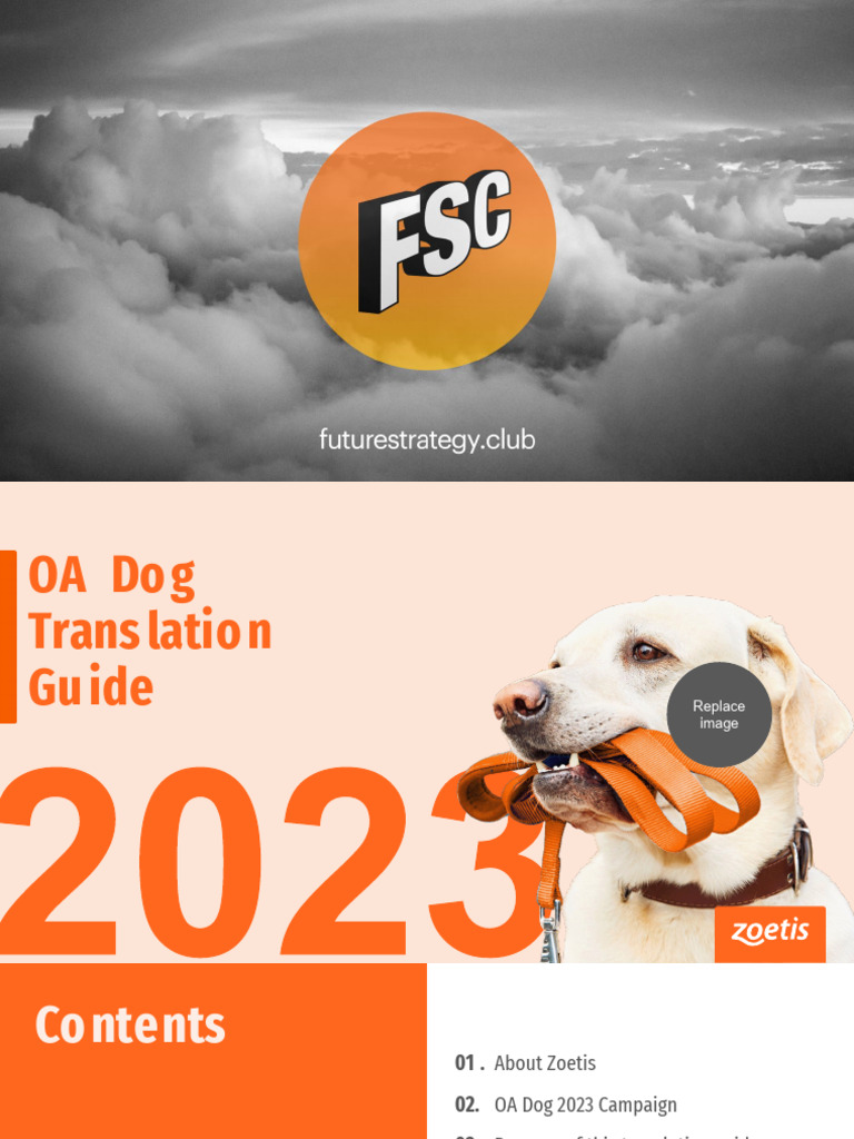 FSC X Zoetis - OA Dog Translation Guide - V2 | PDF