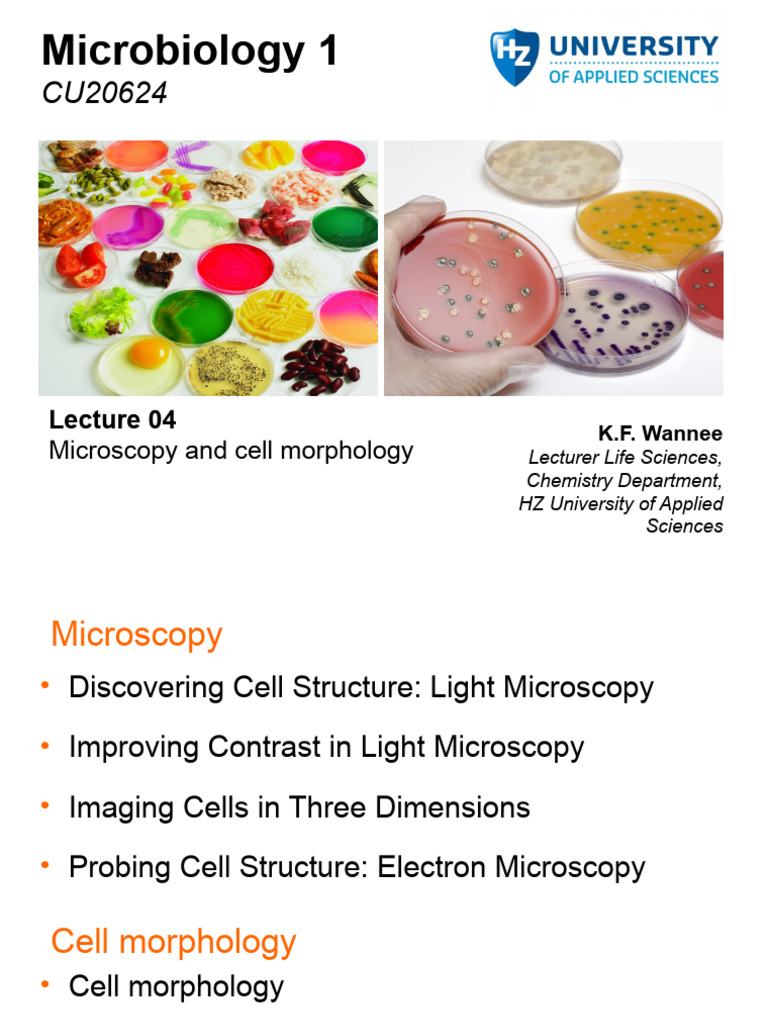 Lecture 04, Microscopy and Cell Morphology | PDF