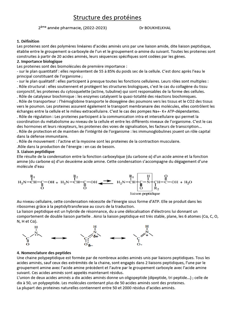 Structure Des Protéines | PDF