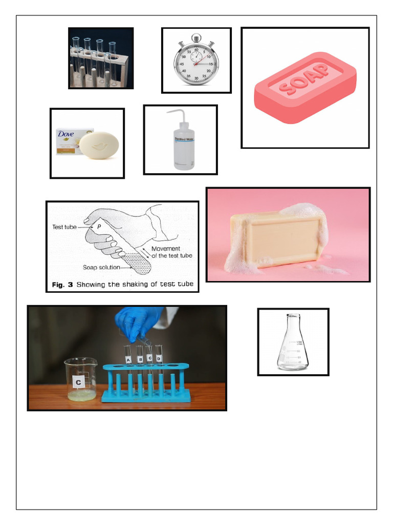 Chem Project Photos For Soap Foaming Capacity | PDF