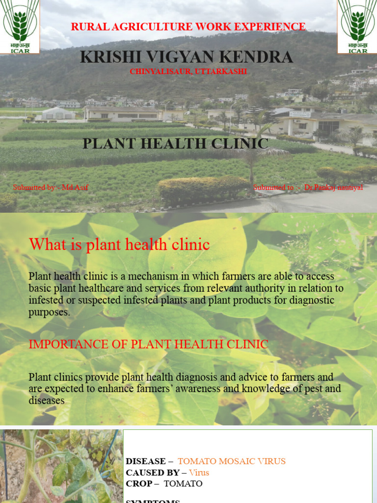 MD Asif 07 PHC | PDF | Seed | Plants MD Asif 07 PHC | PDF | Seed | Plants