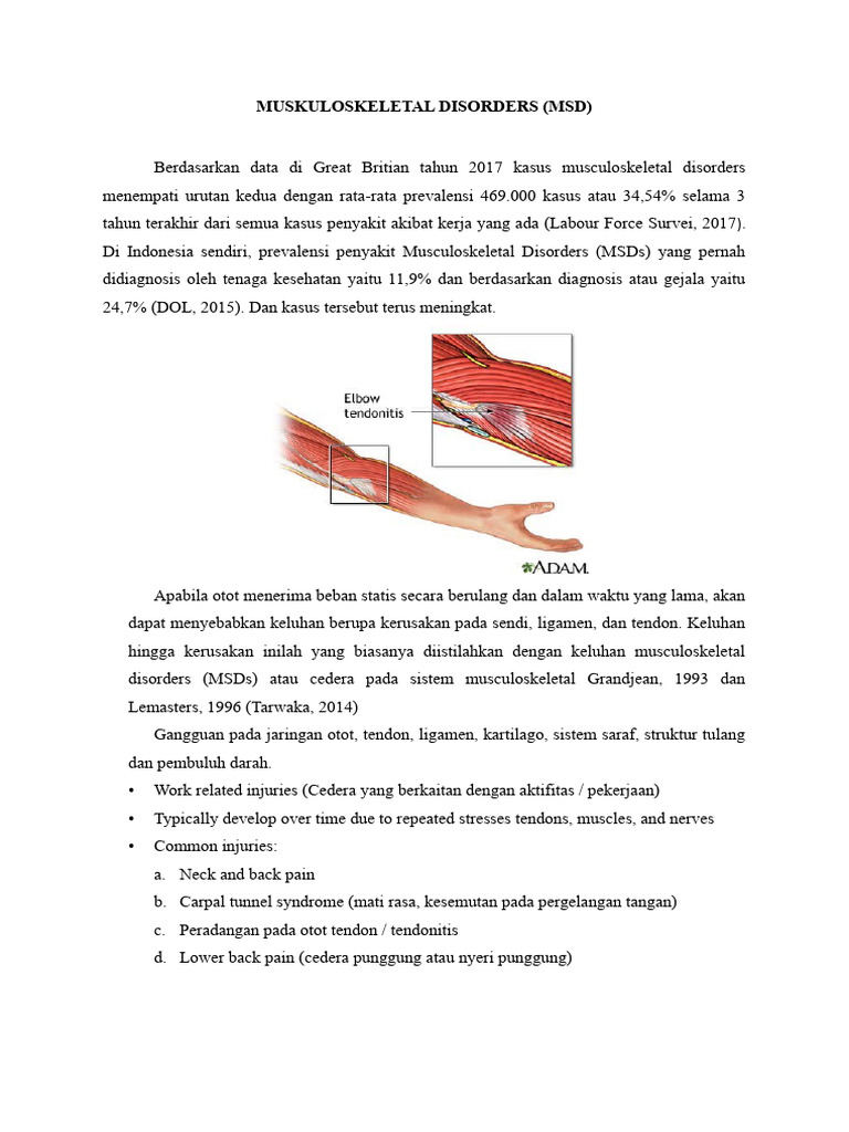 Safety Talk - MSD | PDF