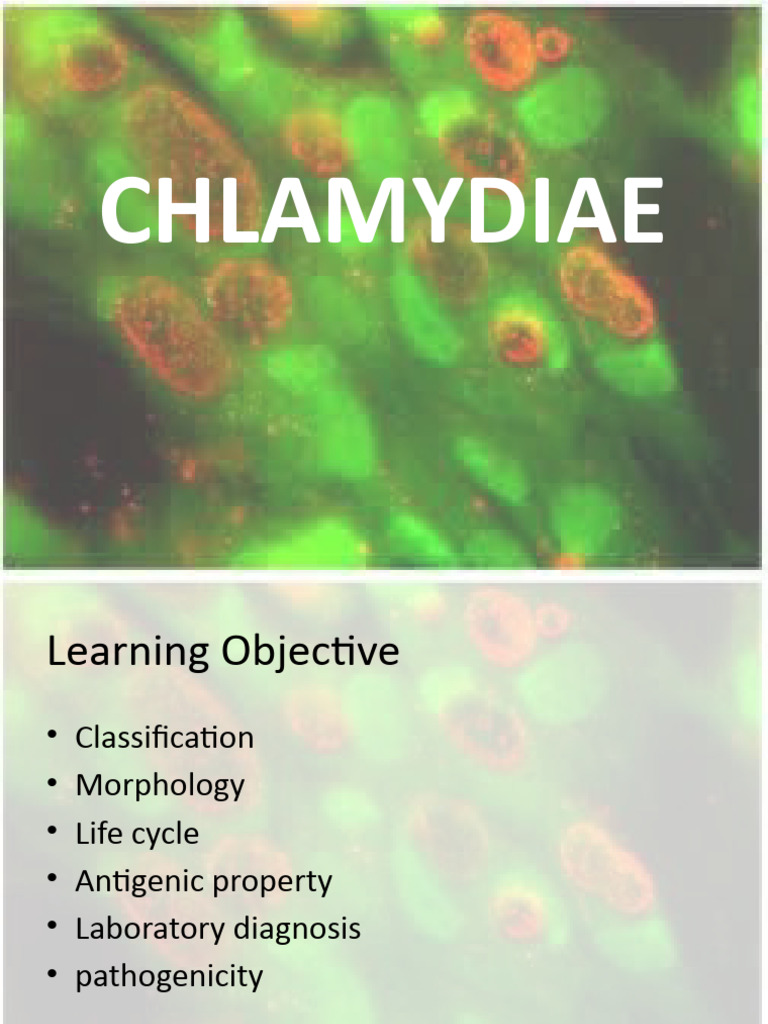Chlamydia | PDF | Microbiology | Medical Specialties