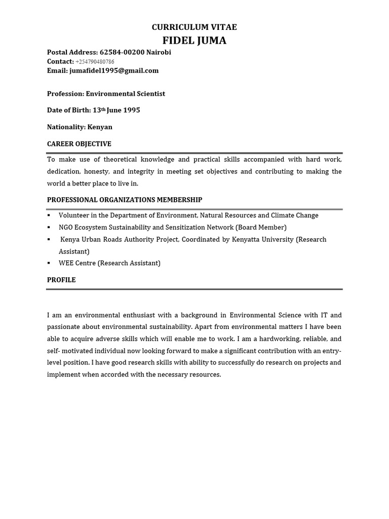 FIDEL CV World Bank Format | PDF