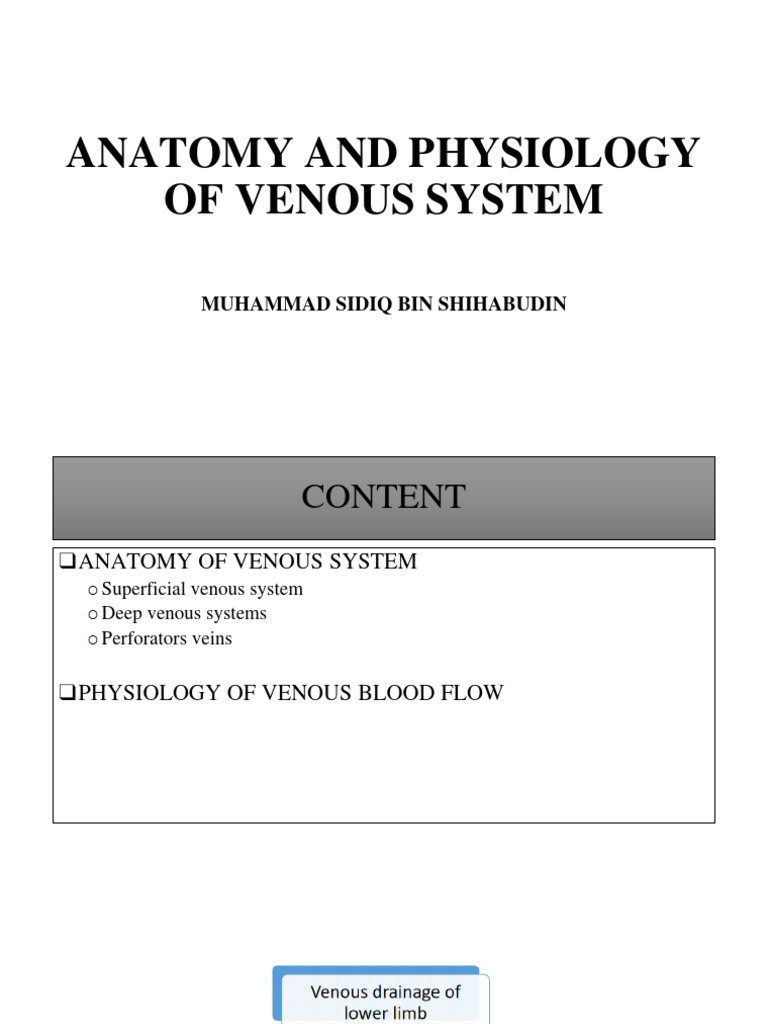 Anatomy of Venous Systems and Examination | PDF
