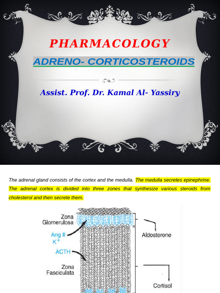 Corticosteroids | PDF | Adrenal Gland | Glucocorticoid