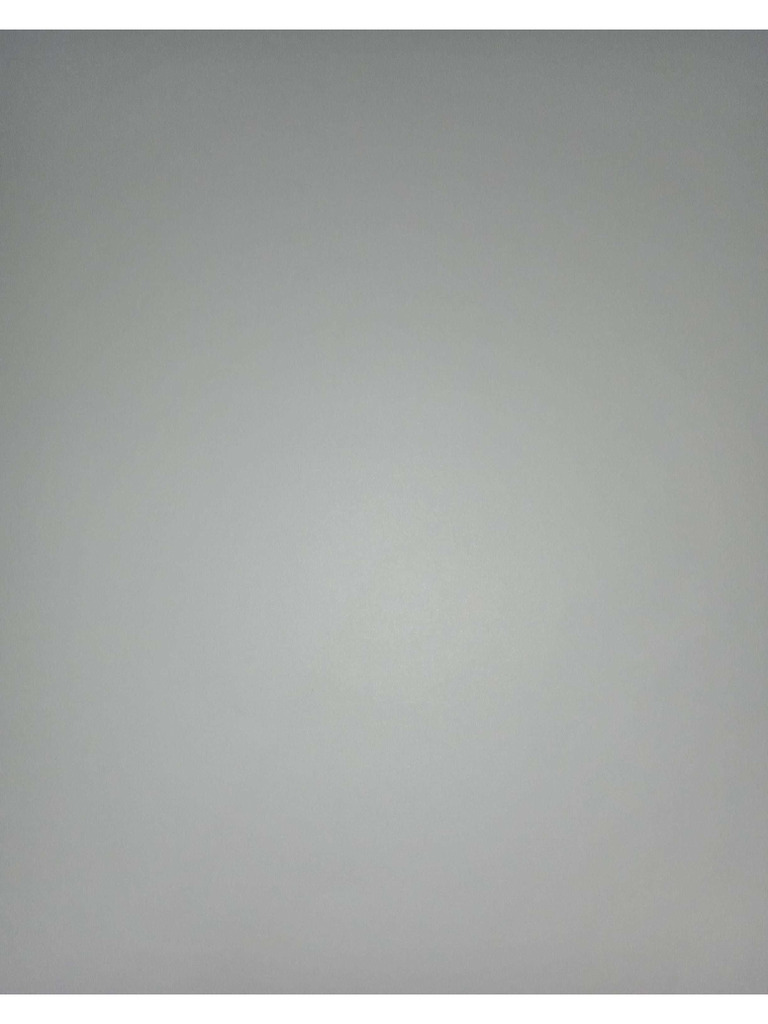 Blank White Page | PDF