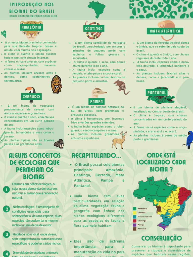 Folder Biomas | Download grátis PDF | Ecologia | Florestas