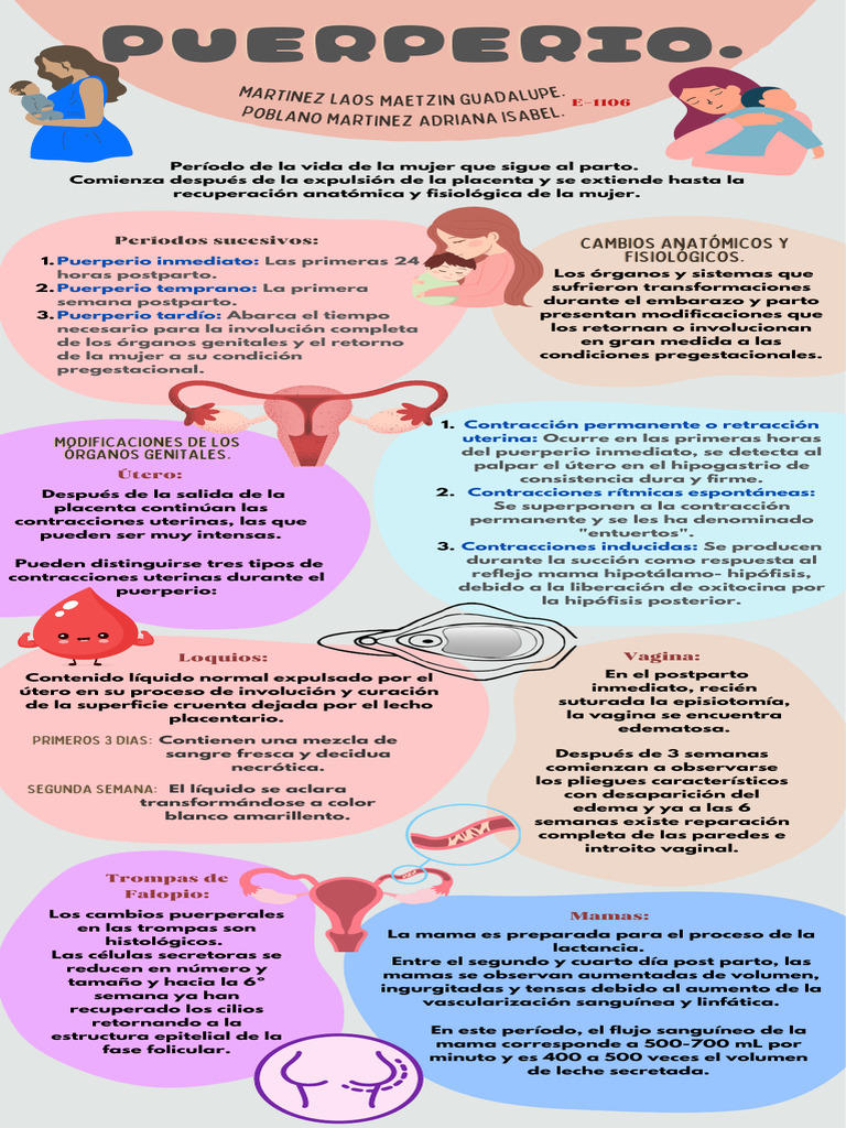 Infografía PUERPERIO | PDF | Periodo posparto | Parto