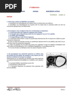 ΑΝΑΤΟΜΙΑ γ επαλ | PDF
