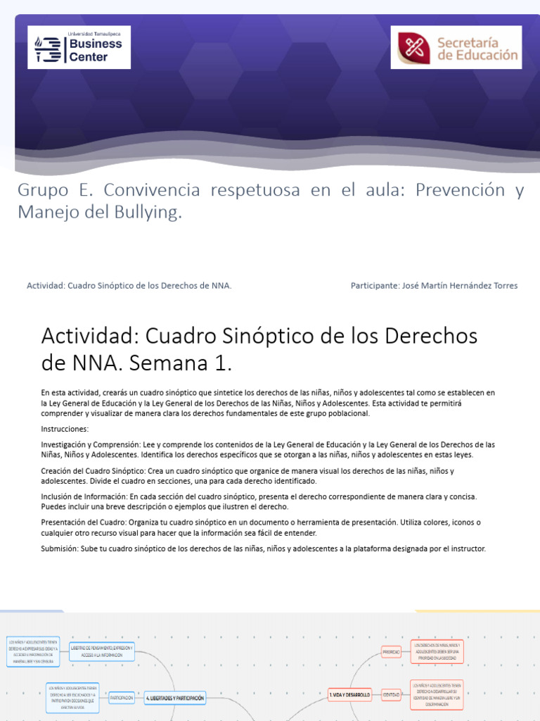 Àctividad1 Cuadro Sinóptico de Los Derechos de NNA | PDF