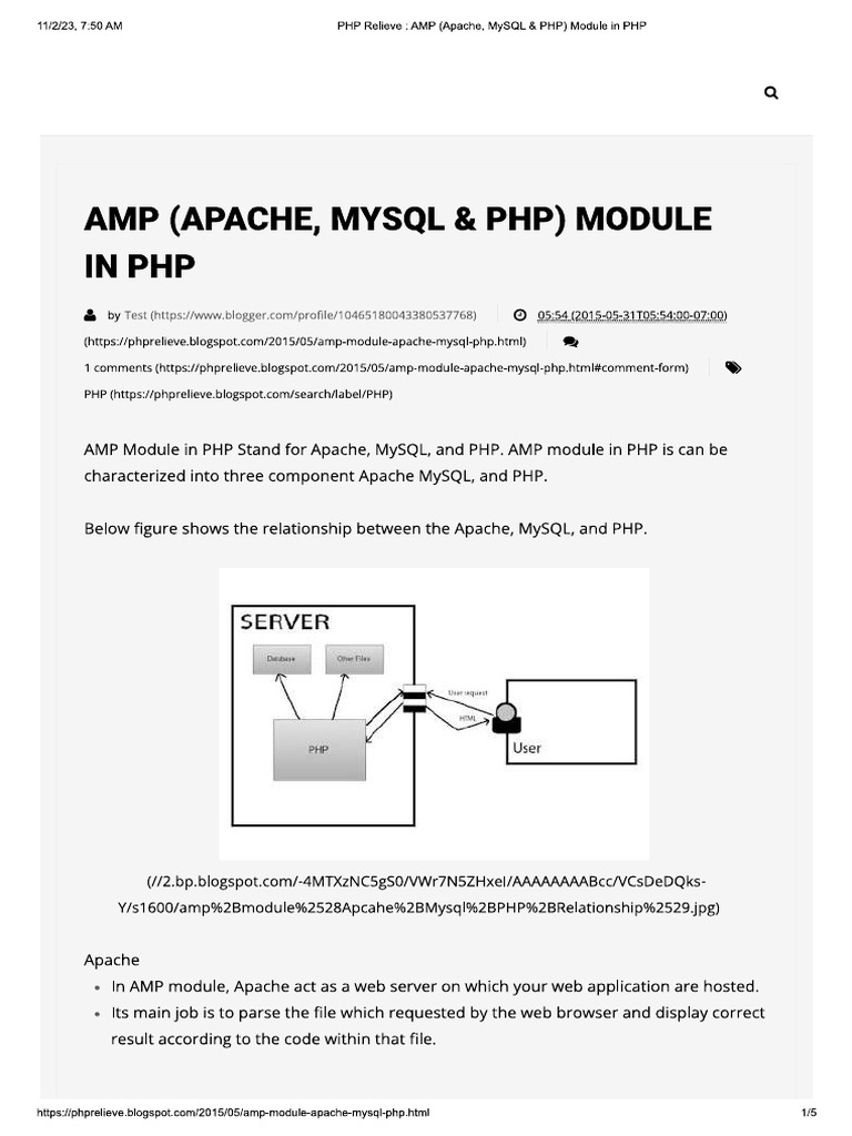 AMP Module | PDF