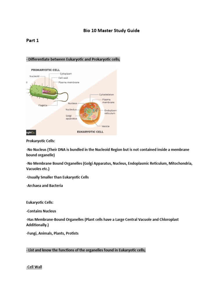 Bio 10 Master Study Guide | PDF | Dna | Meiosis