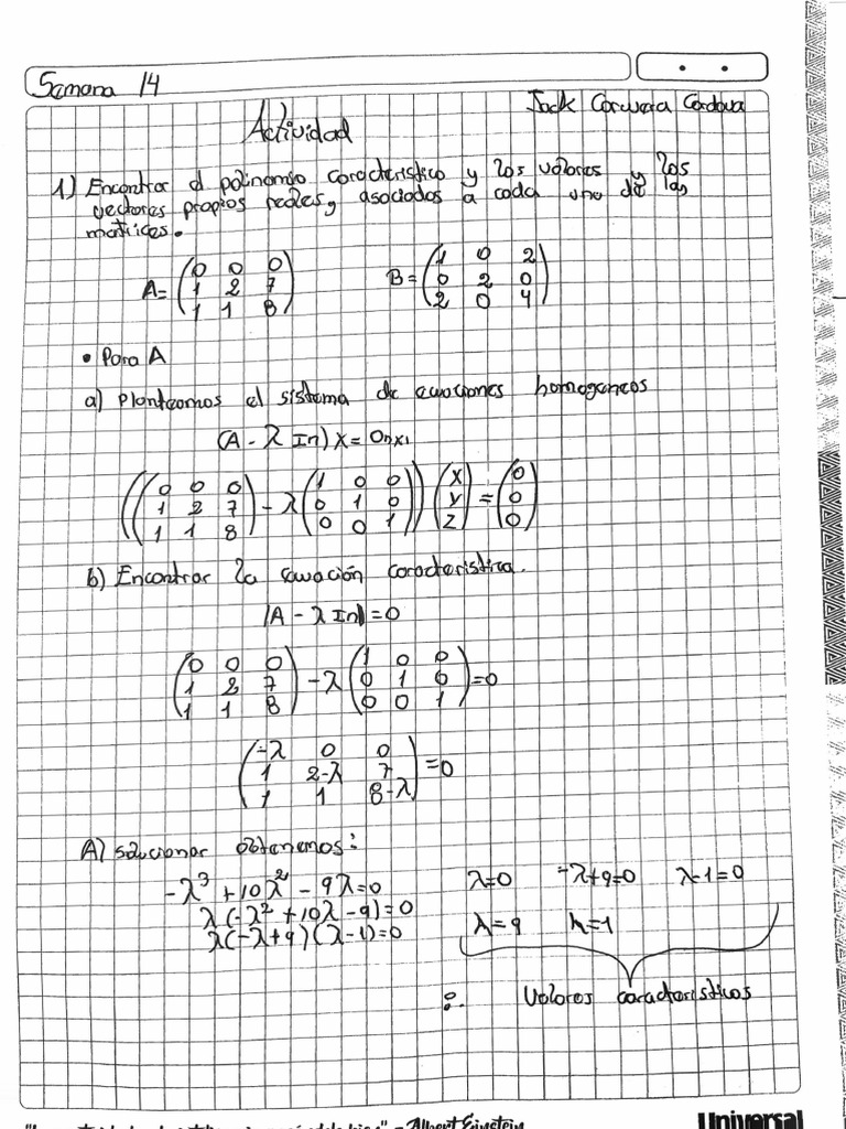 Álgebra Lineal - Semana 14 - Jack Corcuera Córdova - 2ii | PDF