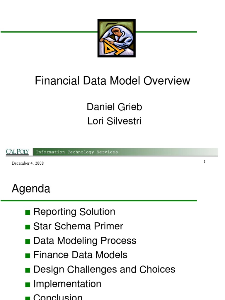 Financial Data Model Overview | PDF | Information Technology Management ...