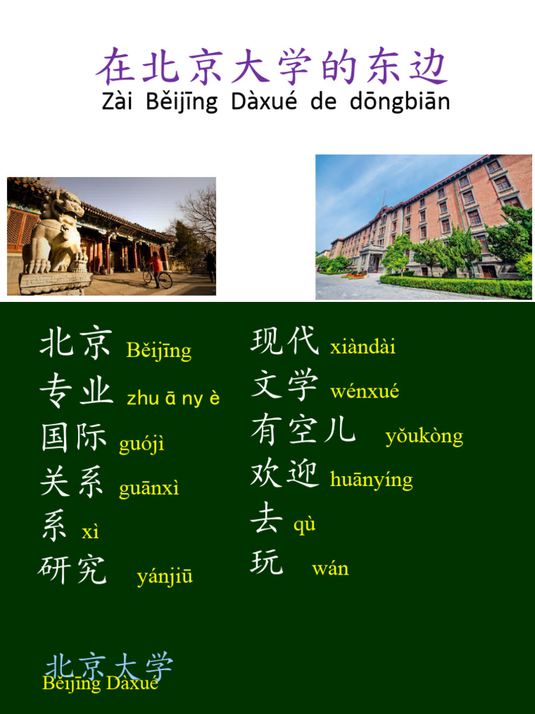 05 - Zai Beijing Daxue de Dongbian | PDF