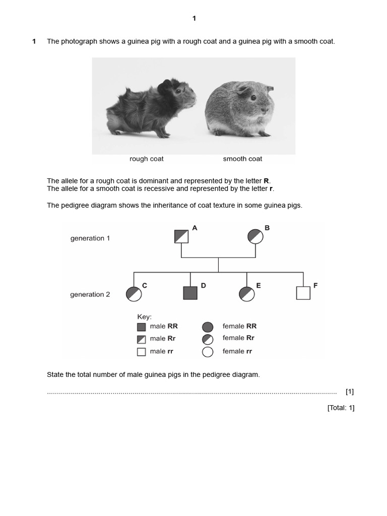 Pedigree Analysis WS Genetics | PDF | Dominance (Genetics) | Genotype