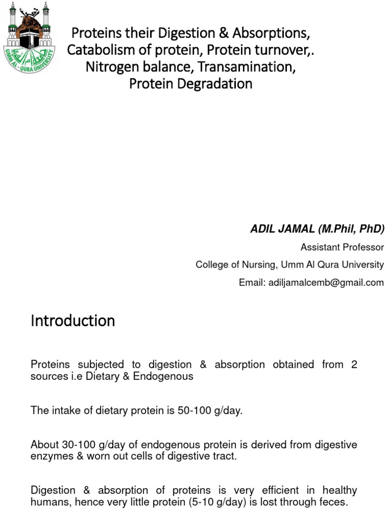 6 Proteins Their Digestion & Absorptions | PDF | Digestion | Protease