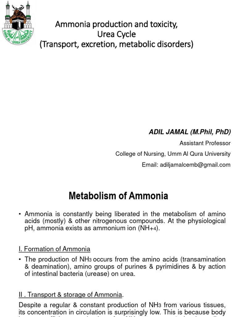 7 AMMONIA PRODUCTION AND TOXICITY UREA CYCLE | PDF