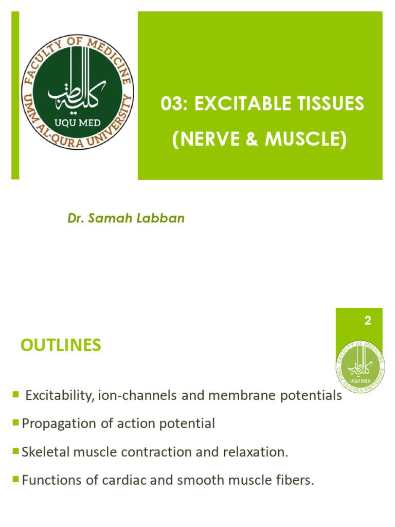 Excitable Tissues (Nerve & Muscle), Z2, CURRENT, NURSING 2nd Yr | PDF ...