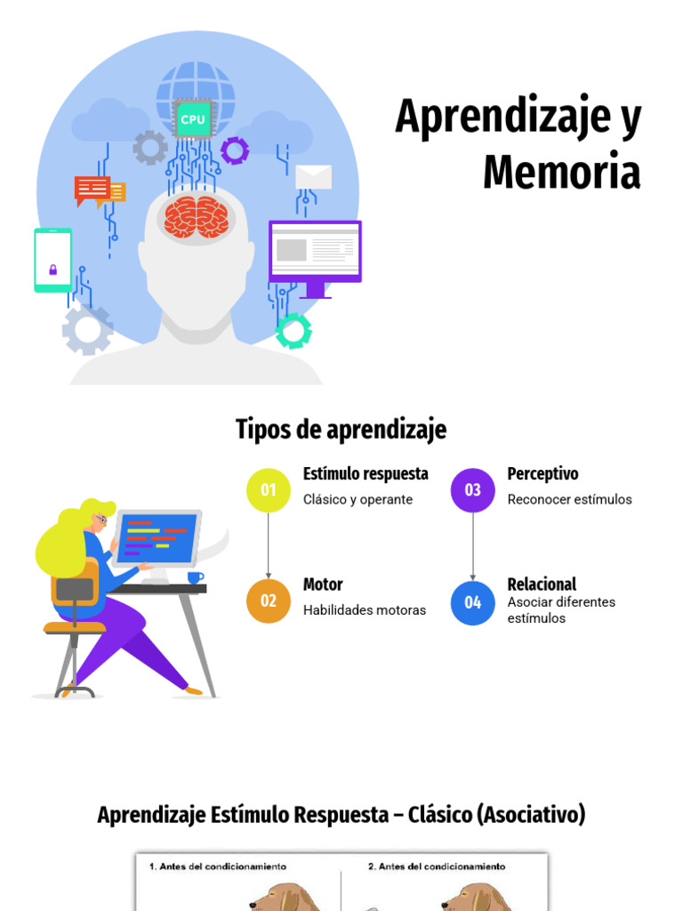 Aprendizaje Y Memoria Pdf Sinapsis La Potenciación A Largo Plazo