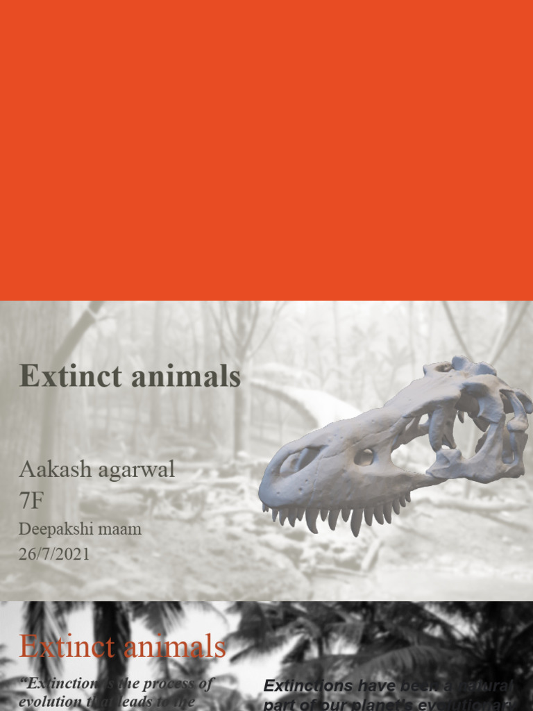 Extinct Animal | PDF