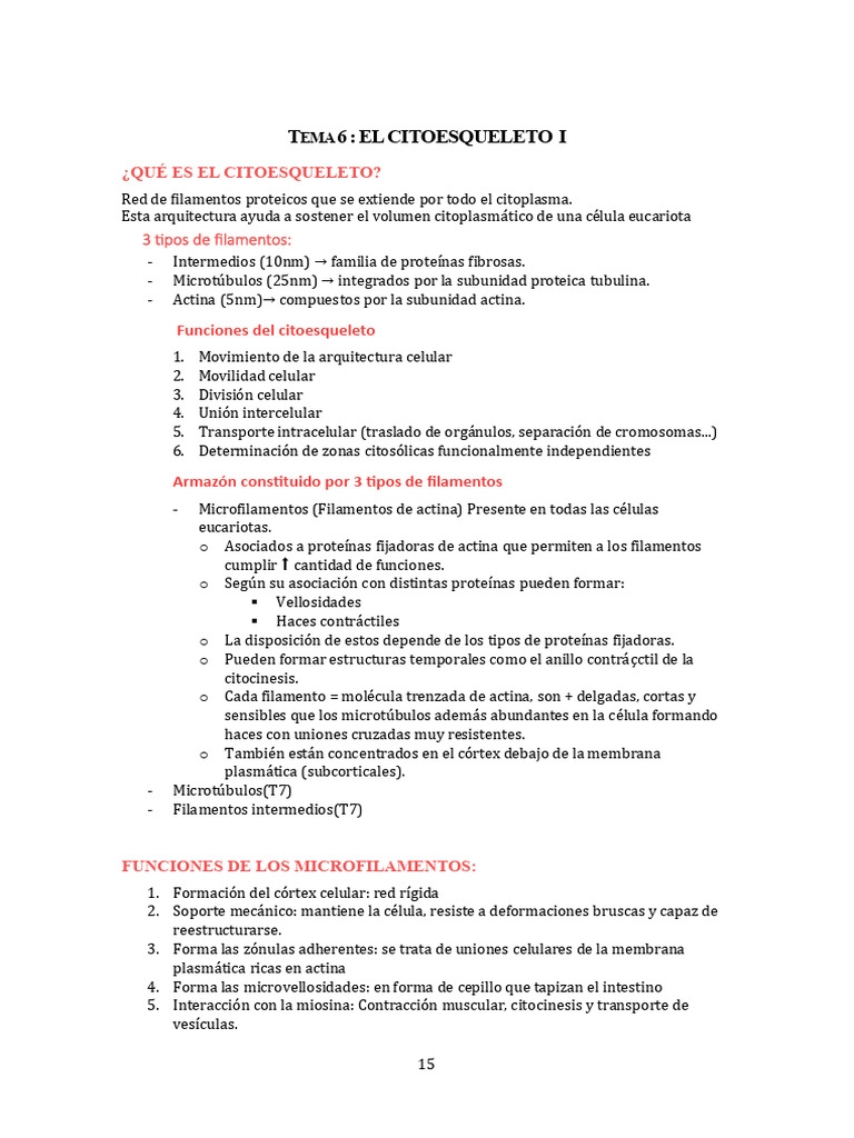 Tema 6 Biocel | PDF | Microtúbulos | Retículo endoplásmico