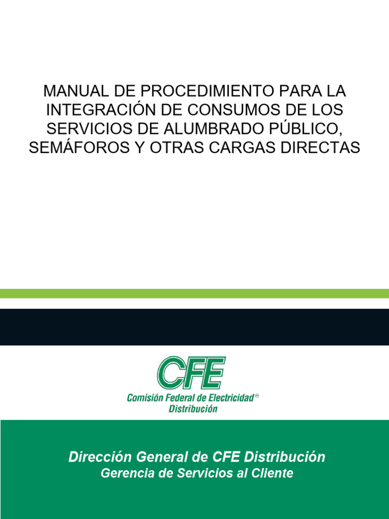Man_Proc_Int_Consumos_Alumb_Pub_Sem_y_Otras_Cargas | PDF Man_Proc_Int_Consumos_Alumb_Pub_Sem_y_Otras_Cargas | PDF