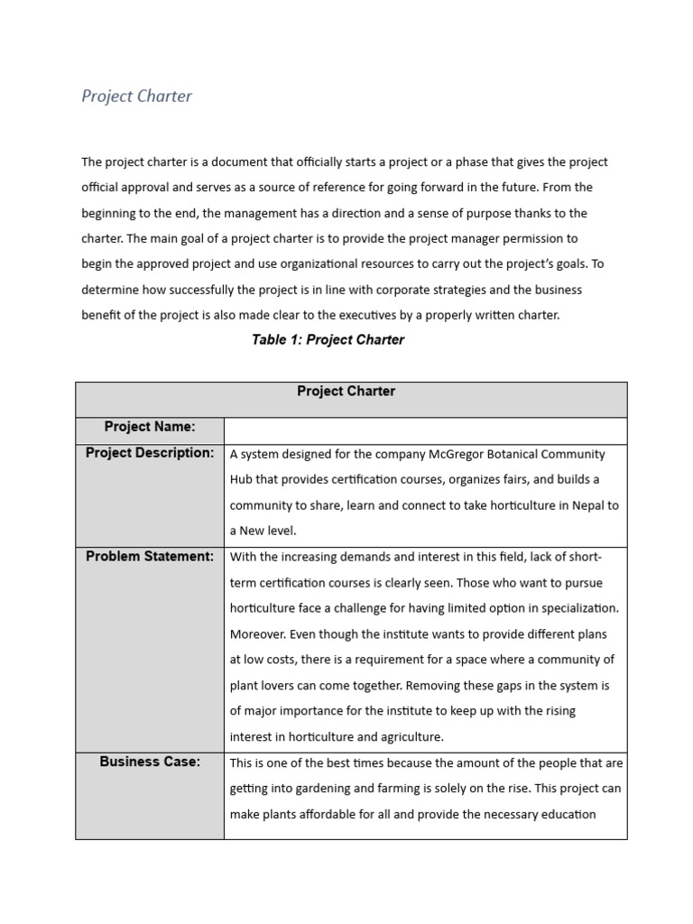 Project Charter | PDF