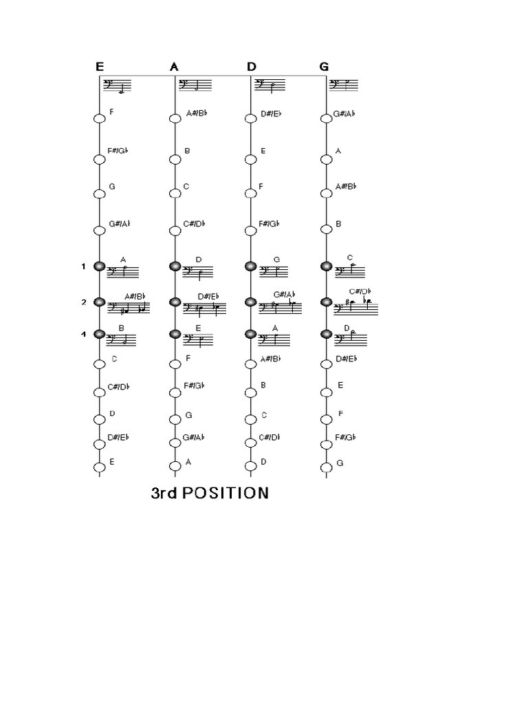 Bass 3rd Position | PDF