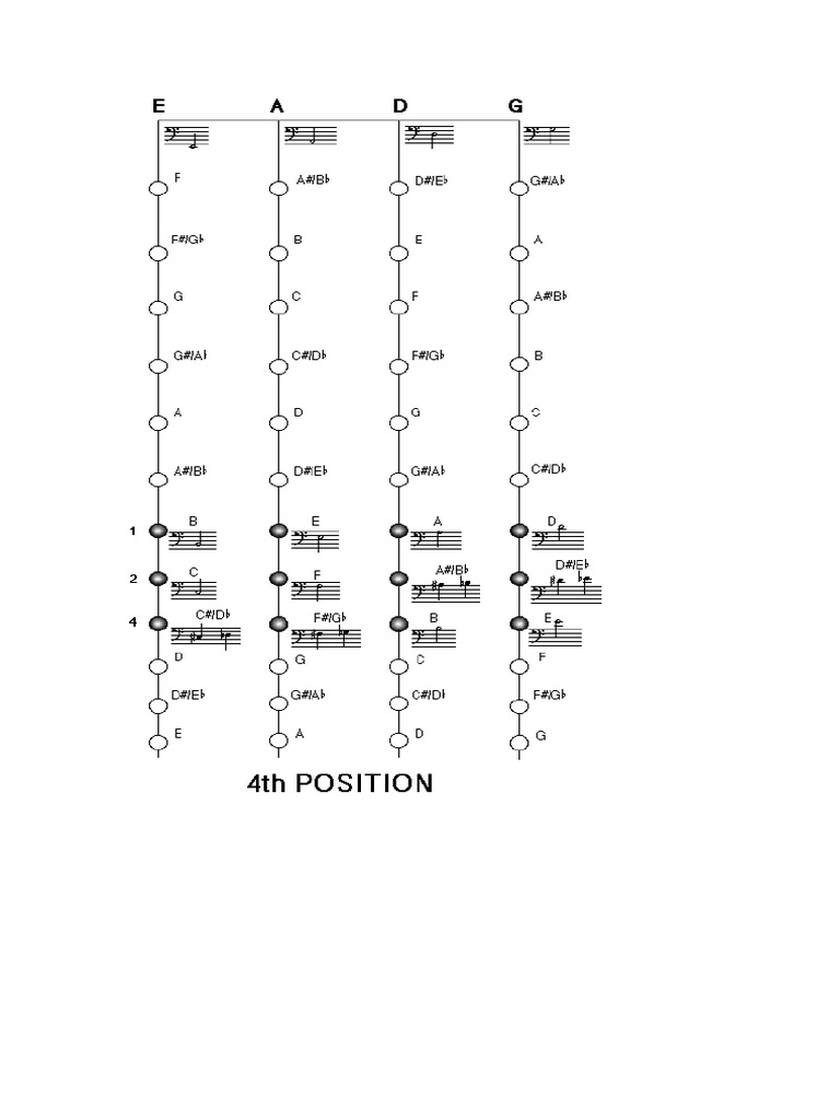 Bass 4th Position | PDF
