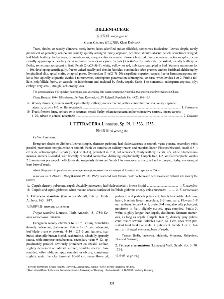 Dilleniaceae Family: Trees, Shrubs, Climbers | PDF | Leaf | Flowers