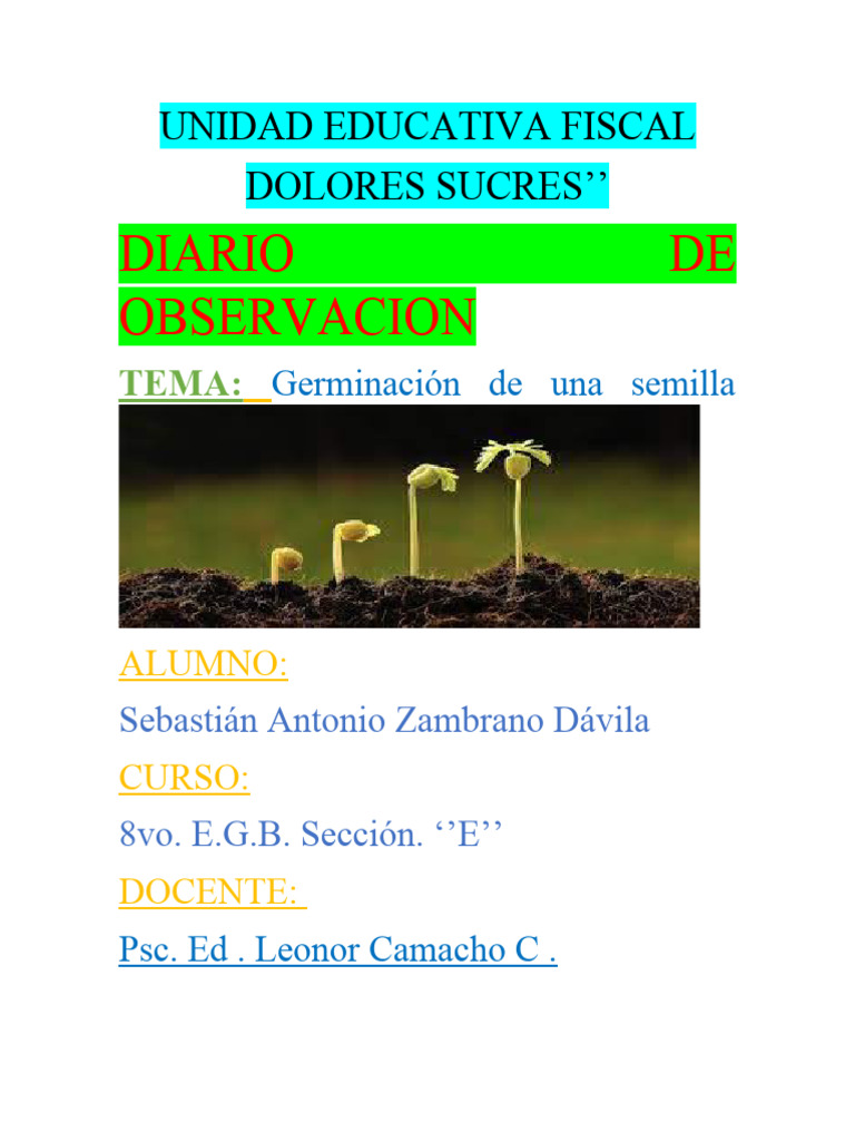 DIARIO DE OBSERVACIÓN BORRADOR 1 | PDF | Plantas | Semilla