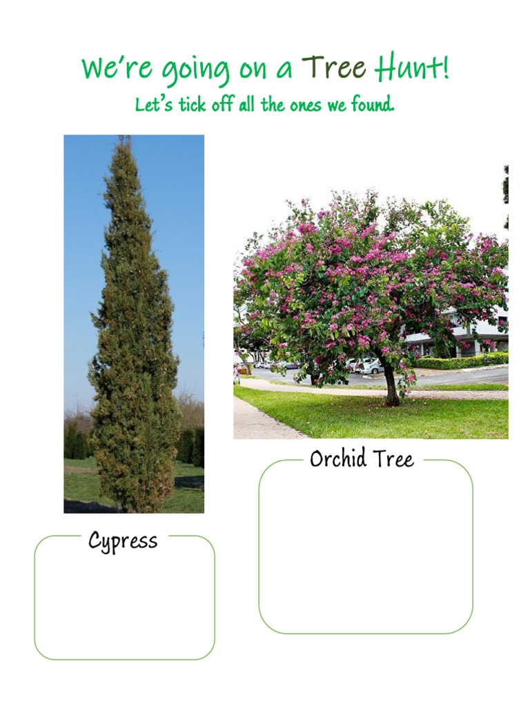 Tree Hunt | PDF
