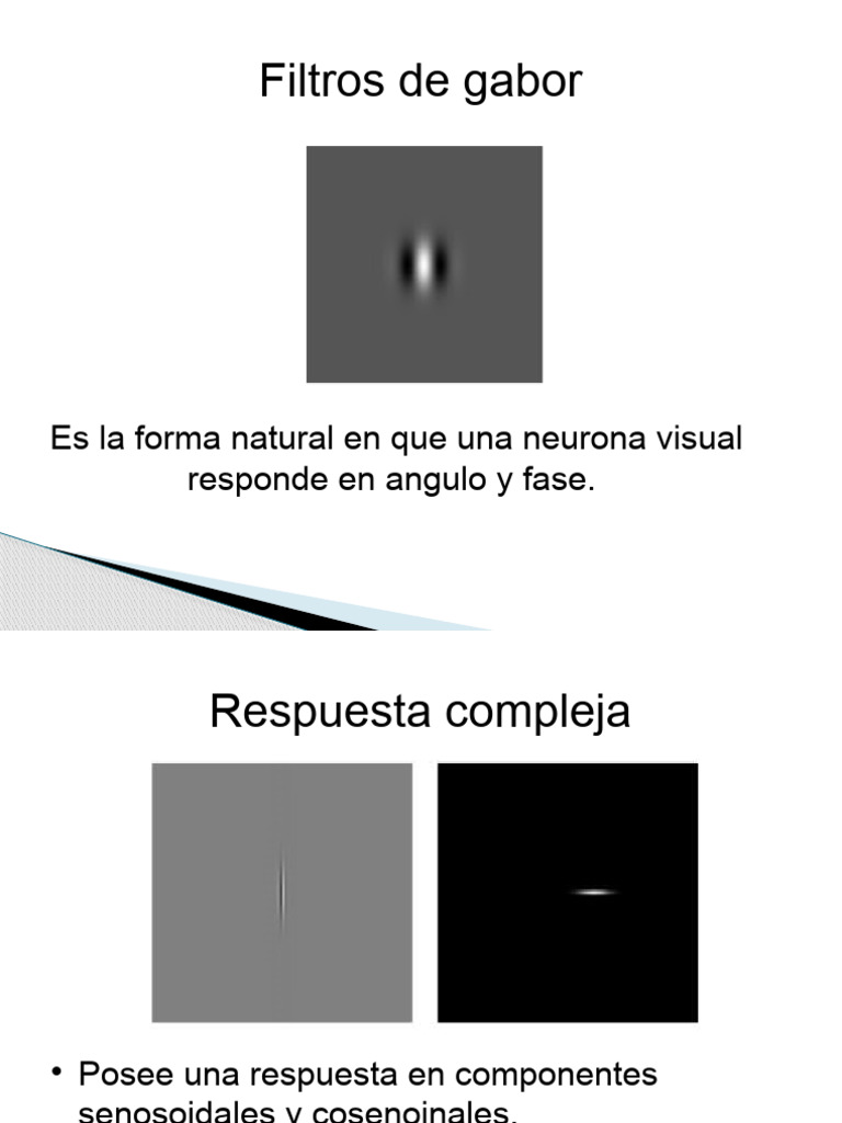 Filtros de Gabor en Procesamiento Visual | PDF | Métodos y materiales ...