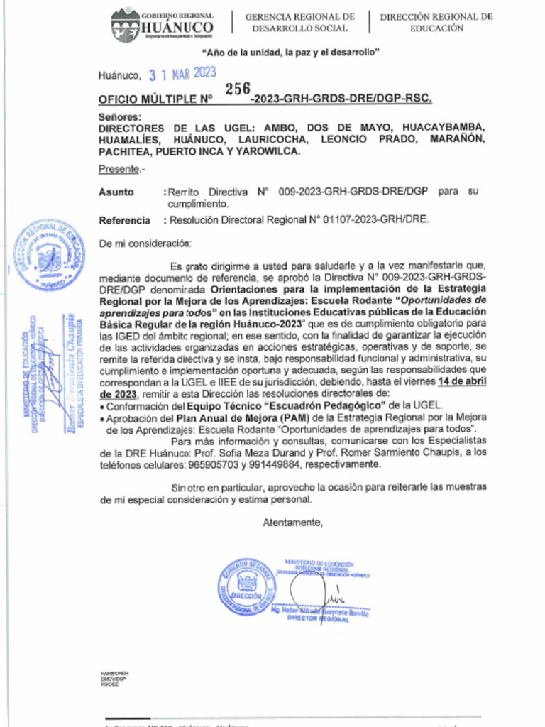 Oficio Múltiple #0256-2023-Grh-Grds-Dre-Dgp-Rsc | PDF