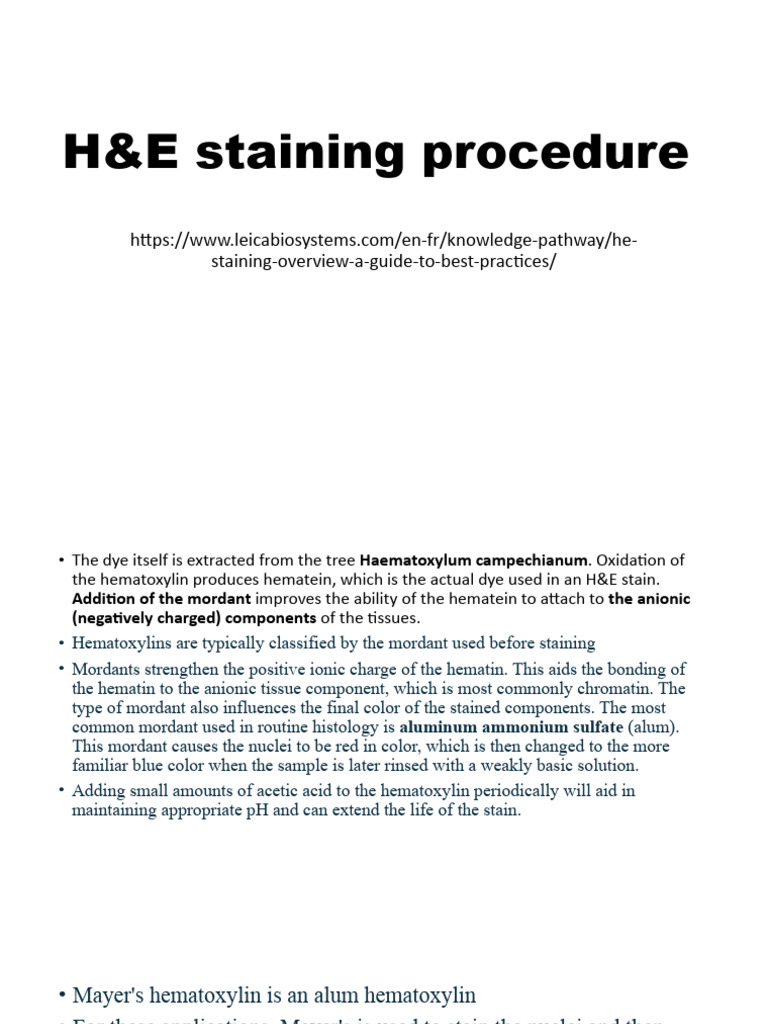 H&E Staining Procedure Overview | PDF | Staining | Atoms