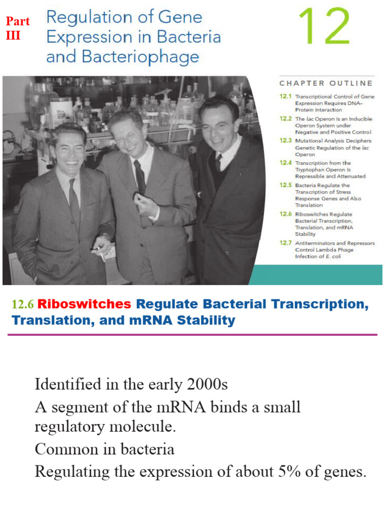 Chapter 12 Part 3 | PDF