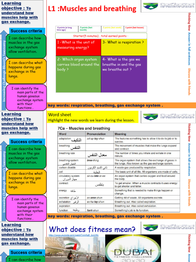 L1 Muscles and Breathing | PDF | Breathing | Exhalation