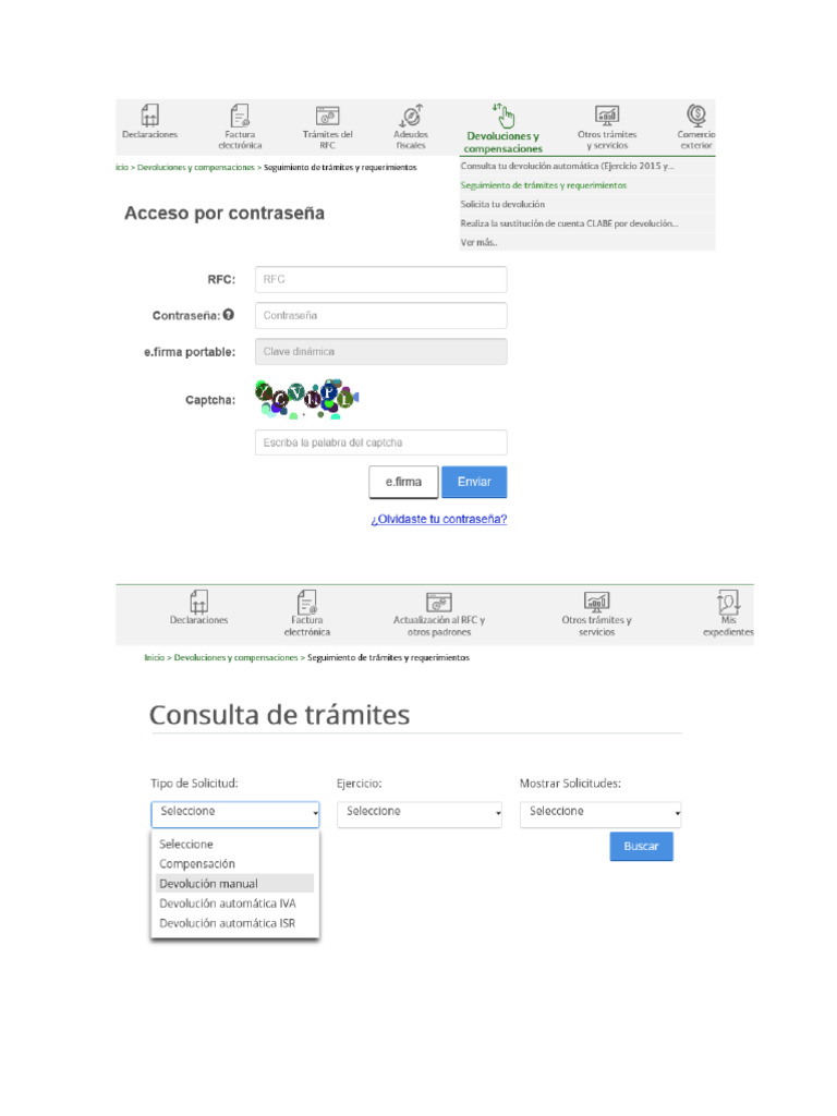 Consulta Devolucion Manual | PDF