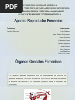 Aparato Reproductor Del Cerdo | PDF | Sistema reproductivo | Hormona ...