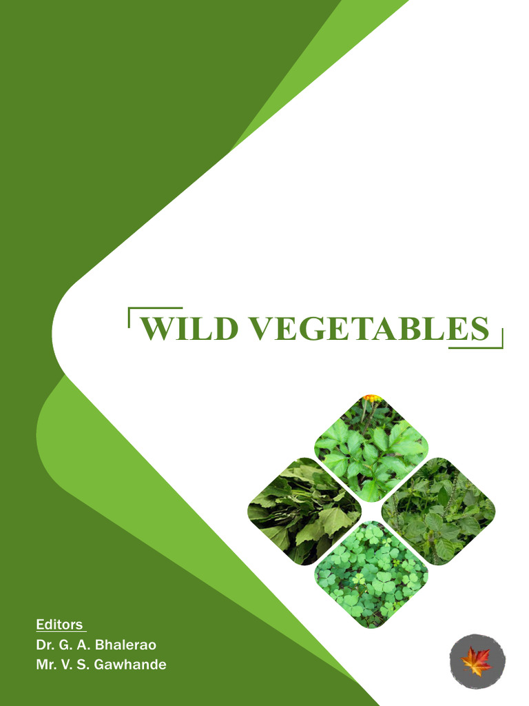 Wild Edible Fruits From Vidarbha Region | PDF