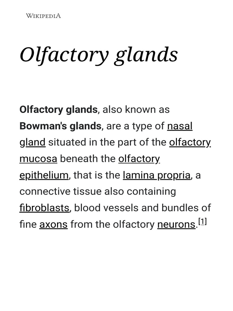 Olfactory Glands - Wikipedia | Download Free PDF | Olfaction | Morphology (Biology)
