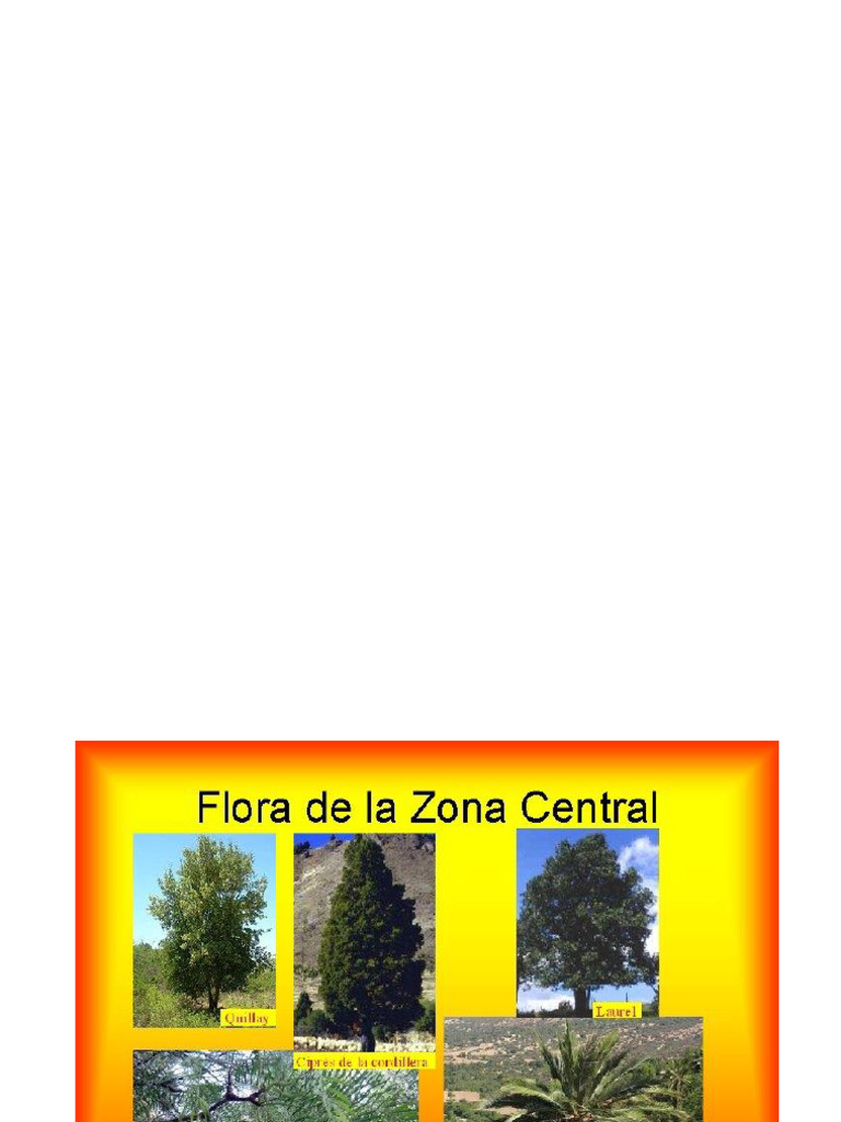 Fauna Zona Centro | PDF