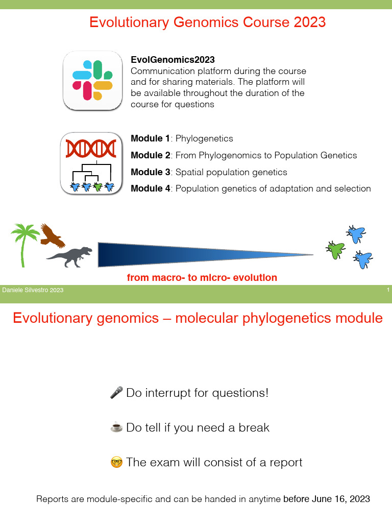 1.introduction To Phylogenetics | PDF