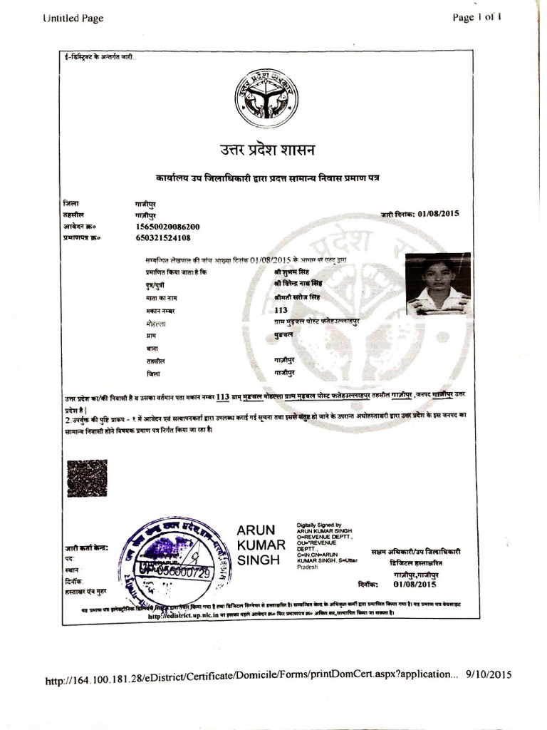 Domicile Certificate | PDF
