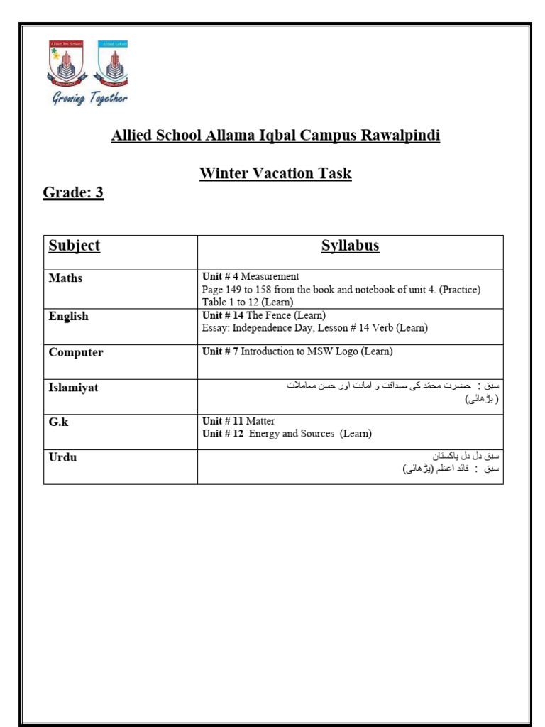 Winter Vacation Task Grade 3. | PDF