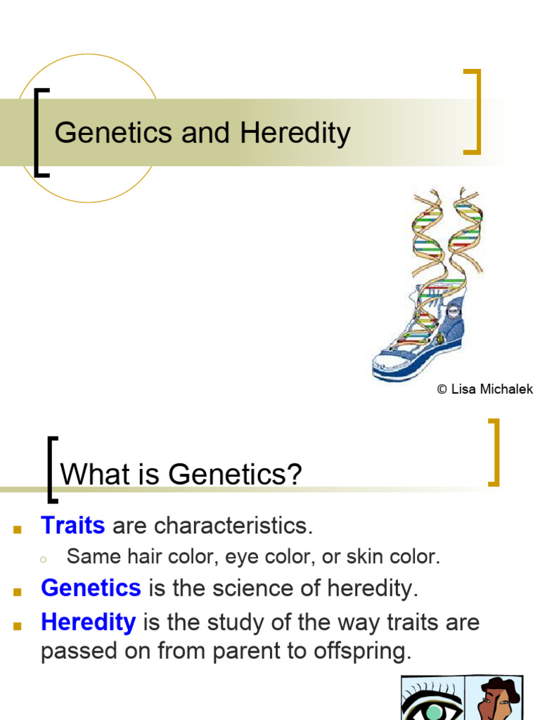Understanding Genetics and Heredity | PDF | Dominance (Genetics) | Zygosity