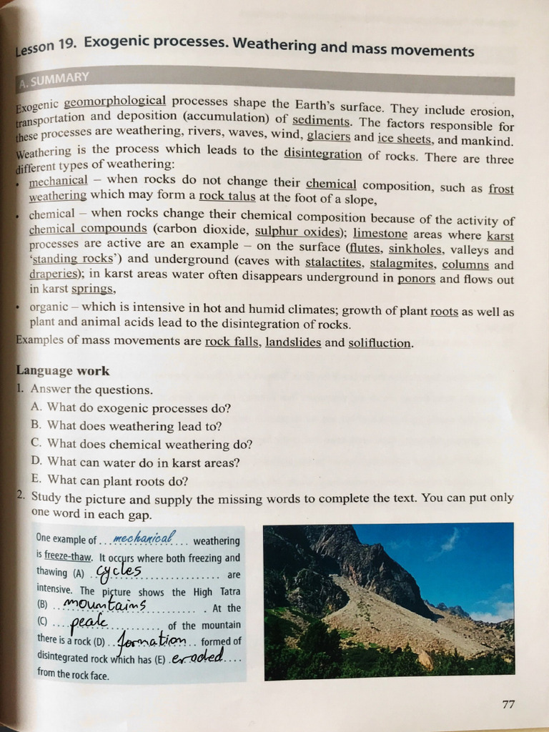 Revision Exogenic Processes | PDF