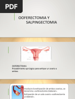 Episiotomía y Episiorrafia | PDF | Parto | Especialidades Medicas